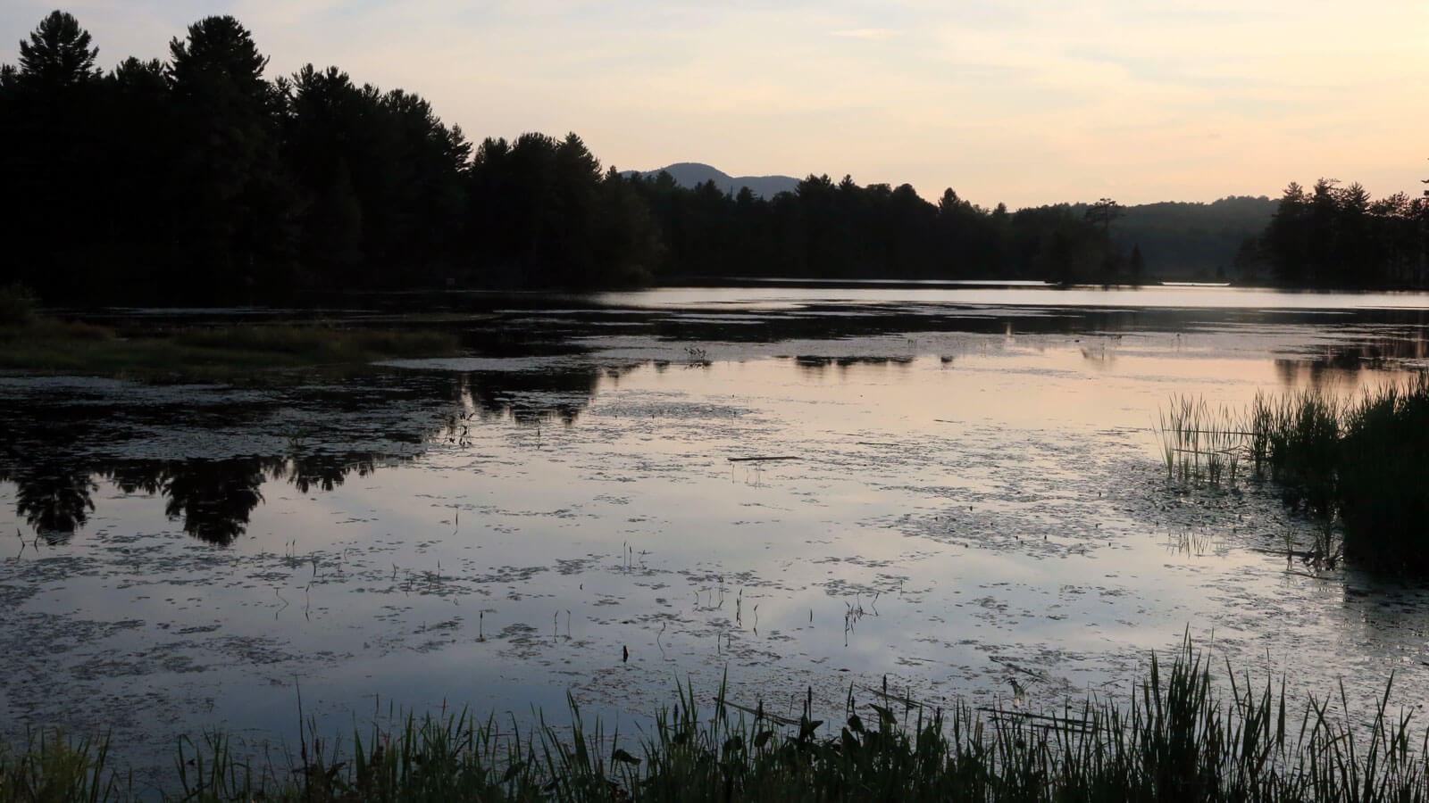 Fishing and High Water - What does it mean for the angler ...