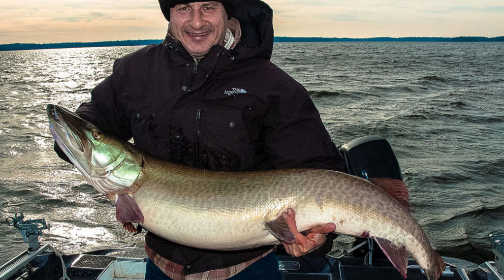 Trophy Musky Time - MuskyChasers.com | Musky Musings Blog